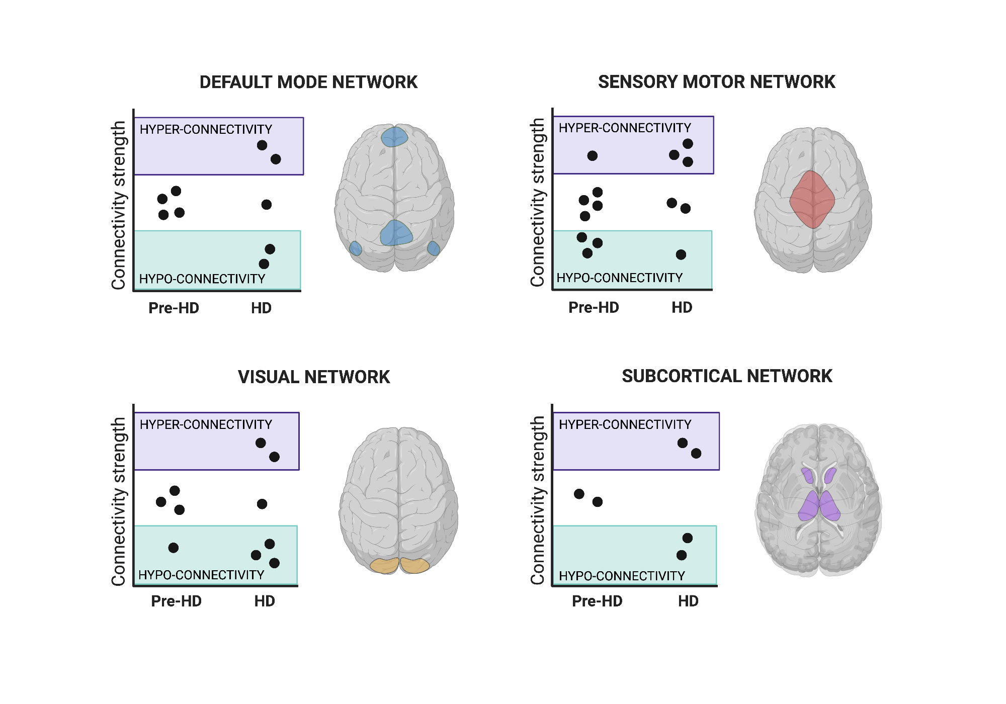 Resting State Connectivity In Huntingtons Disease Biorender Science Templates