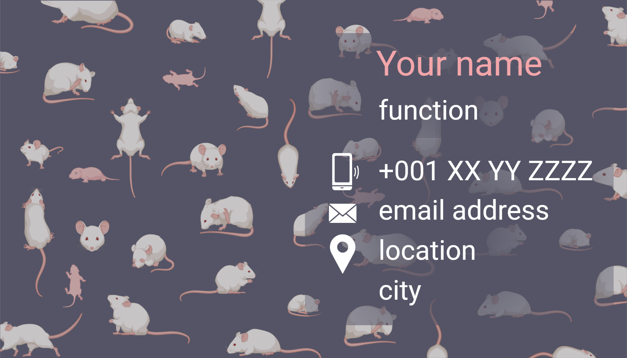 Business card - Scientist | BioRender Science Templates