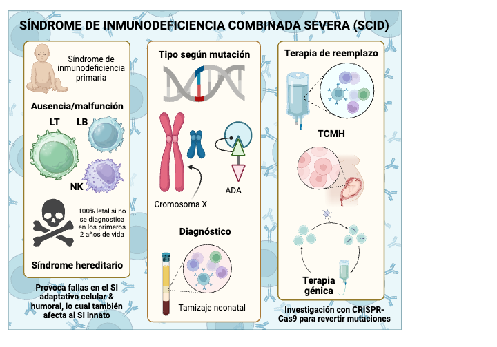 Graphical Abstract SCID | BioRender Science Templates