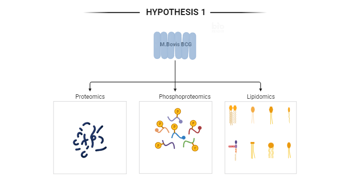 BCG mass spectrometry | BioRender Science Templates