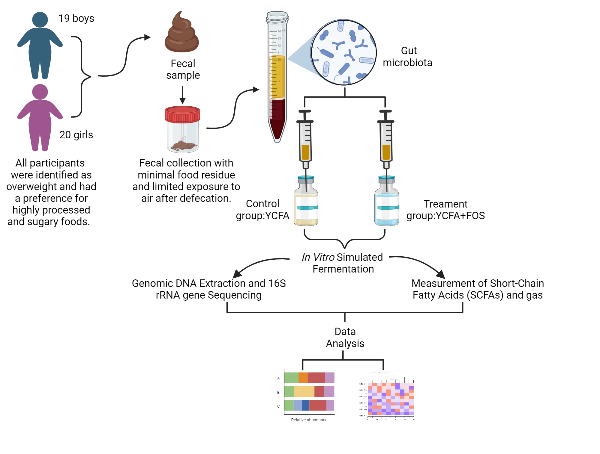 Fecal Transplant | BioRender Science Templates