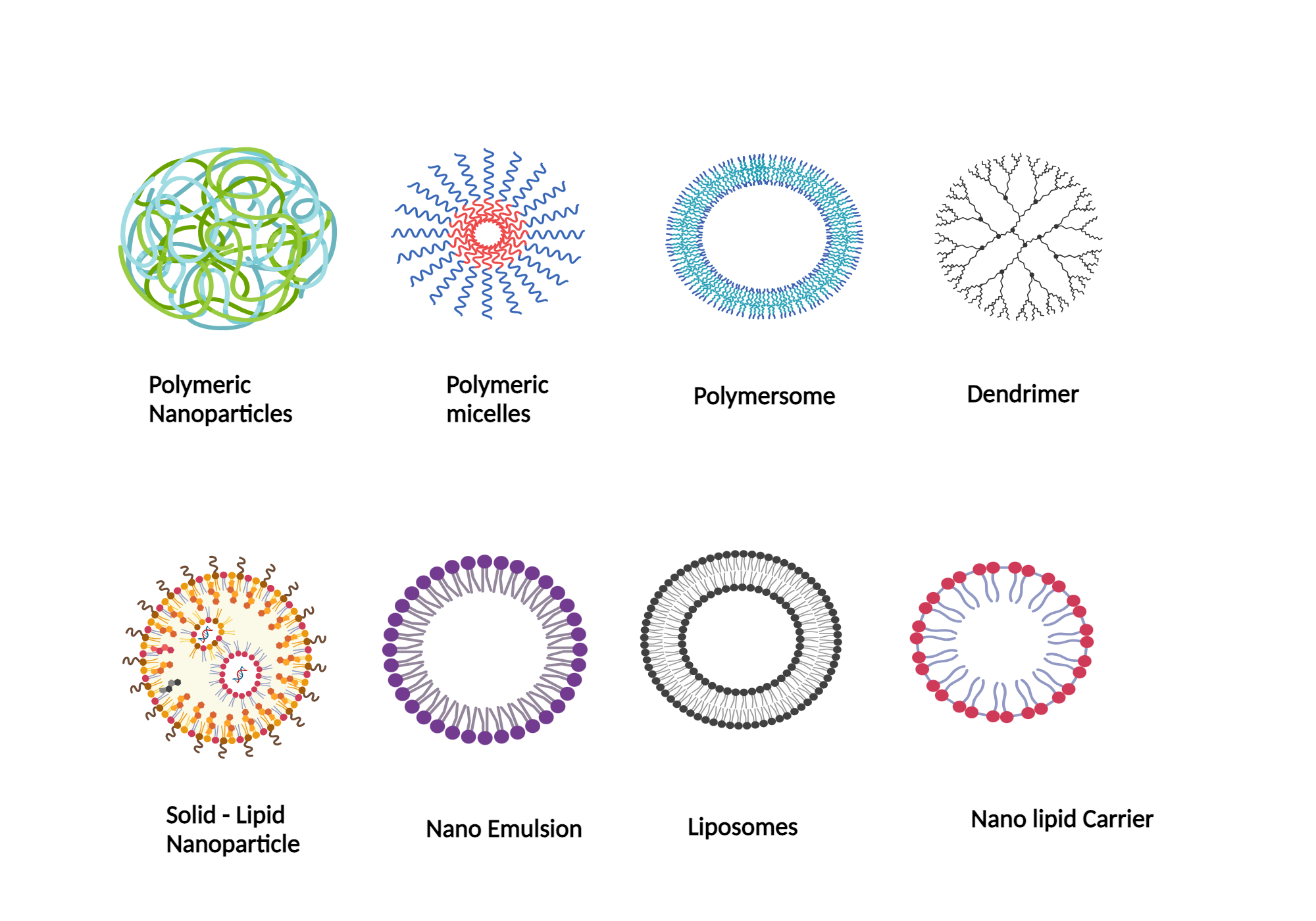 Nanoparticals | BioRender Science Templates