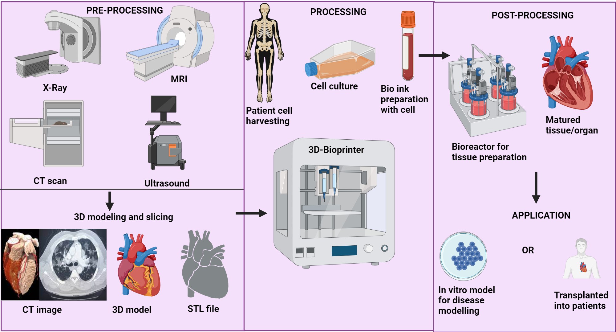Steps in 3Dbioprinting process | BioRender Science Templates