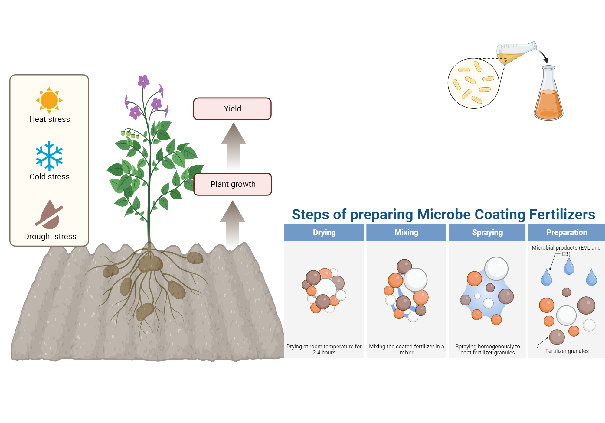 Microbial Fertilizer | BioRender Science Templates