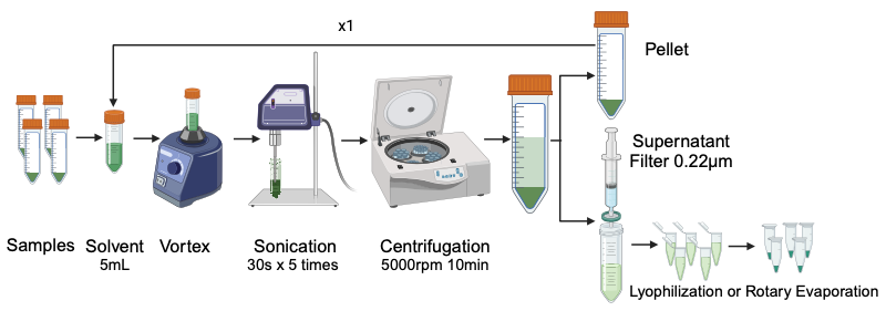 Biomass extraction | BioRender Science Templates