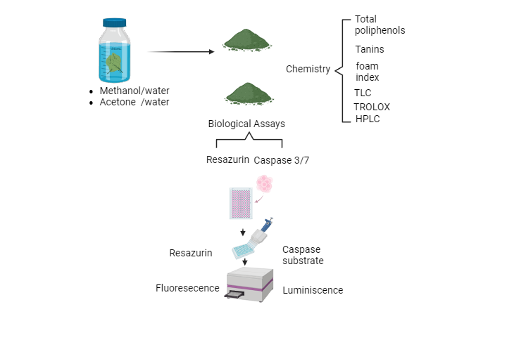 Alberto Chacón Thesis | BioRender Science Templates
