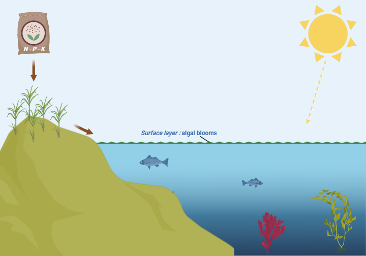Eutrophication Biorender Science Templates