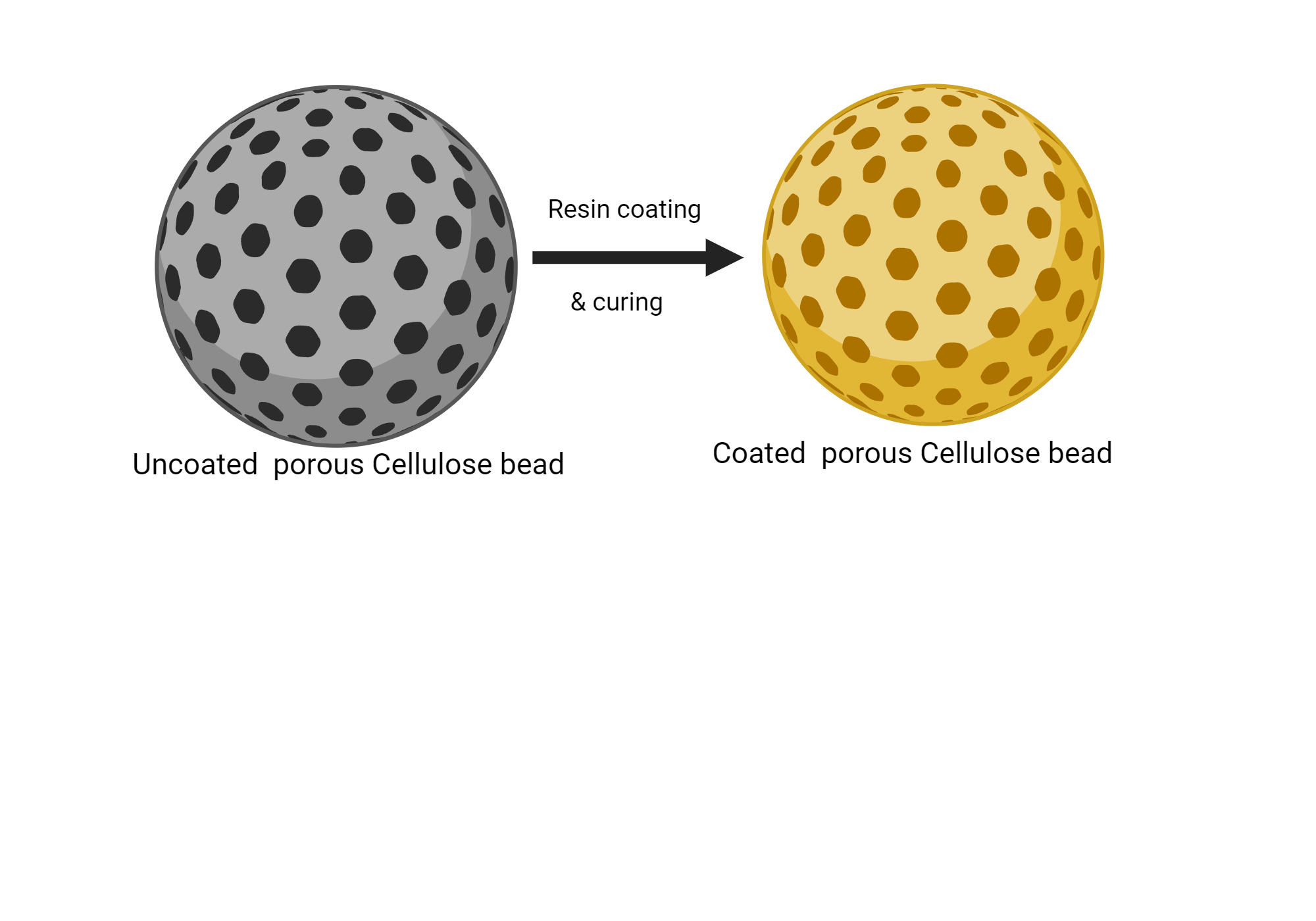 beads coating | BioRender Science Templates
