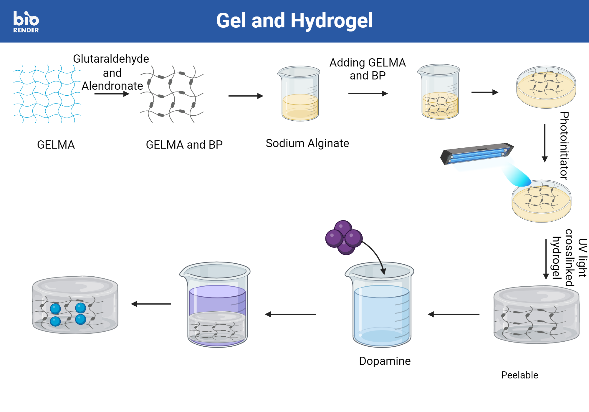 Icon Pack - Gel and Hydrogel | BioRender Science Templates