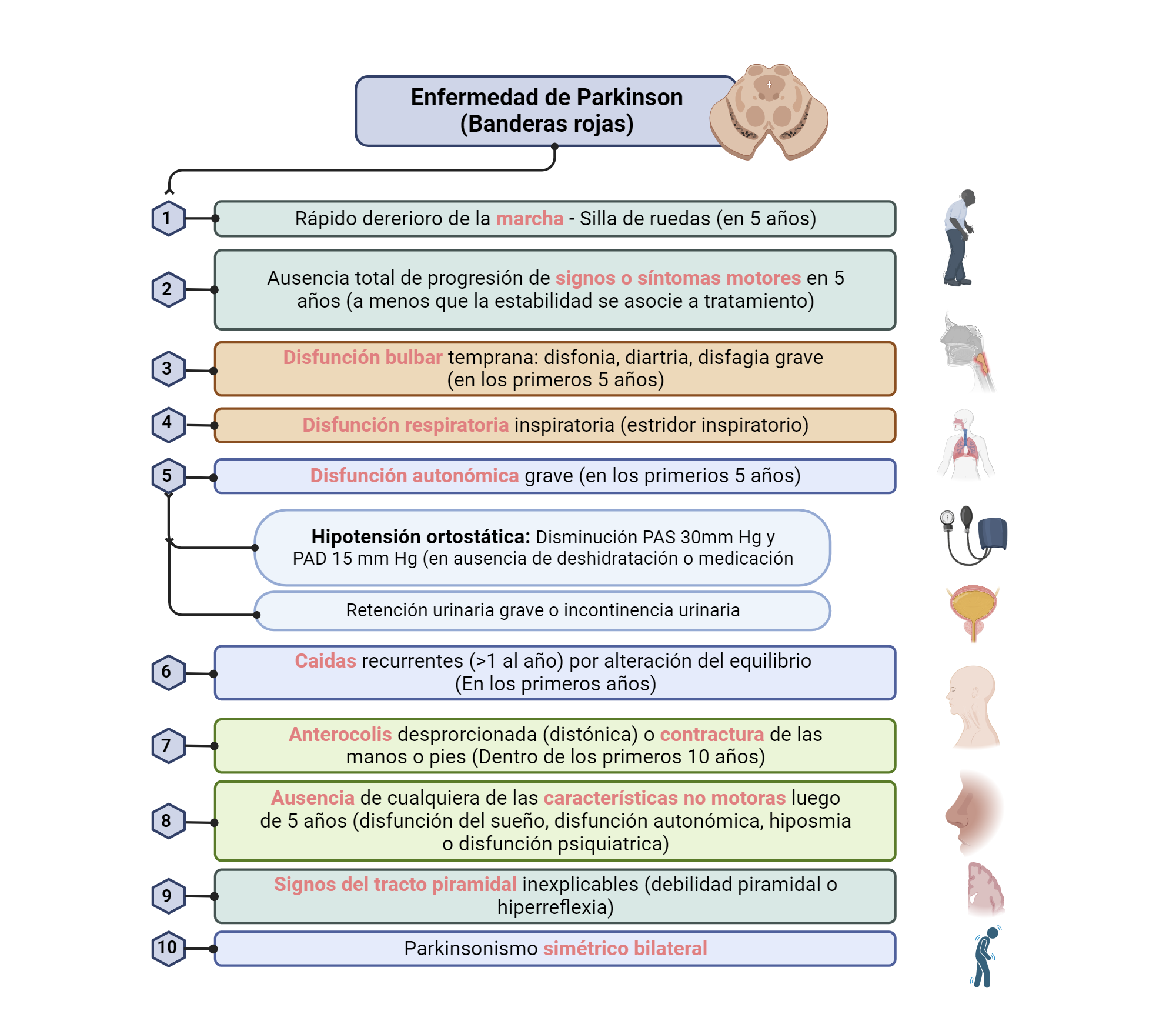 Parkinson red flags | BioRender Science Templates