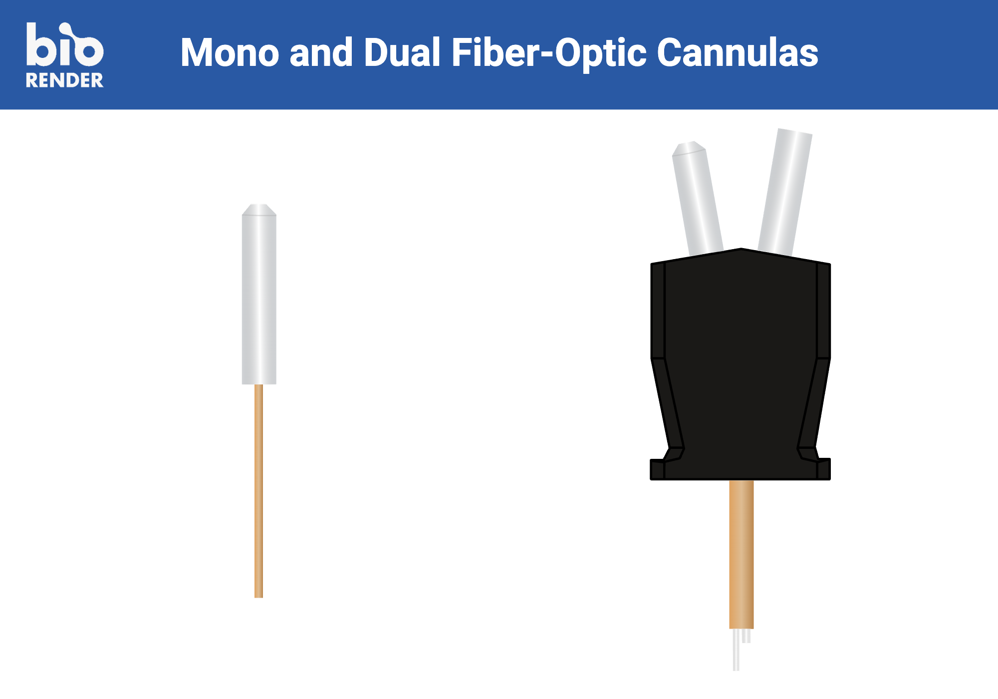 Mono and Dual Fiber-Optic Cannulas | BioRender Science Templates