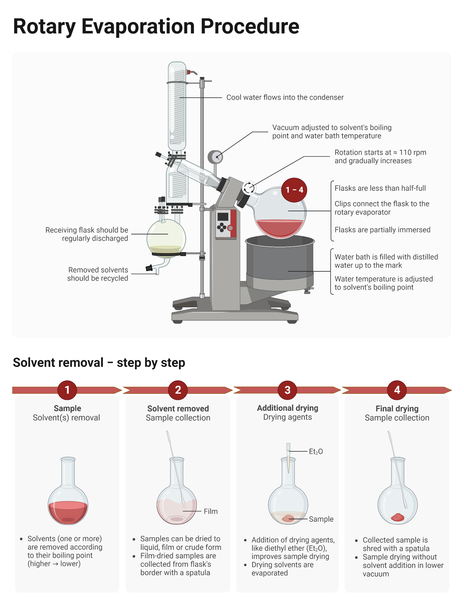 Rotary Evaporation (Rotovap) Procedure | BioRender Science Templates
