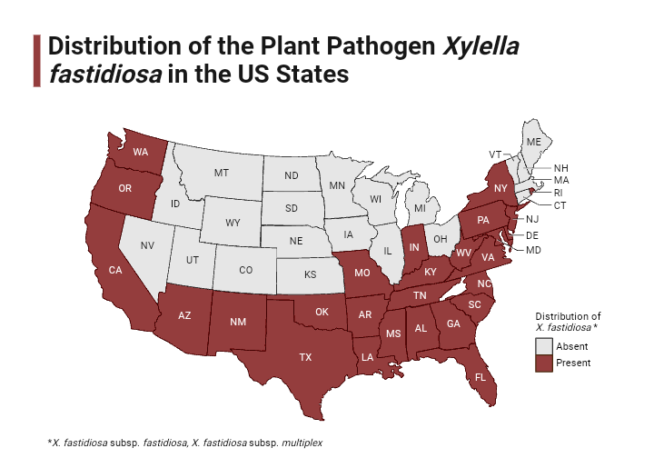 Distribution of the Plant Pathogen Xylella fastidiosa in the US States ...