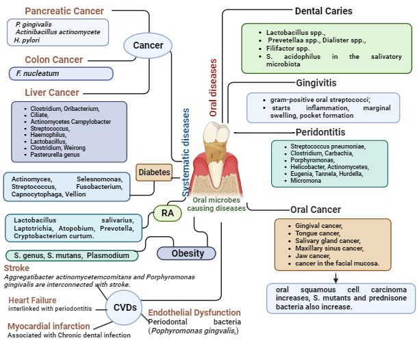 This is an overview of oral disease and systemic diseases | BioRender ...