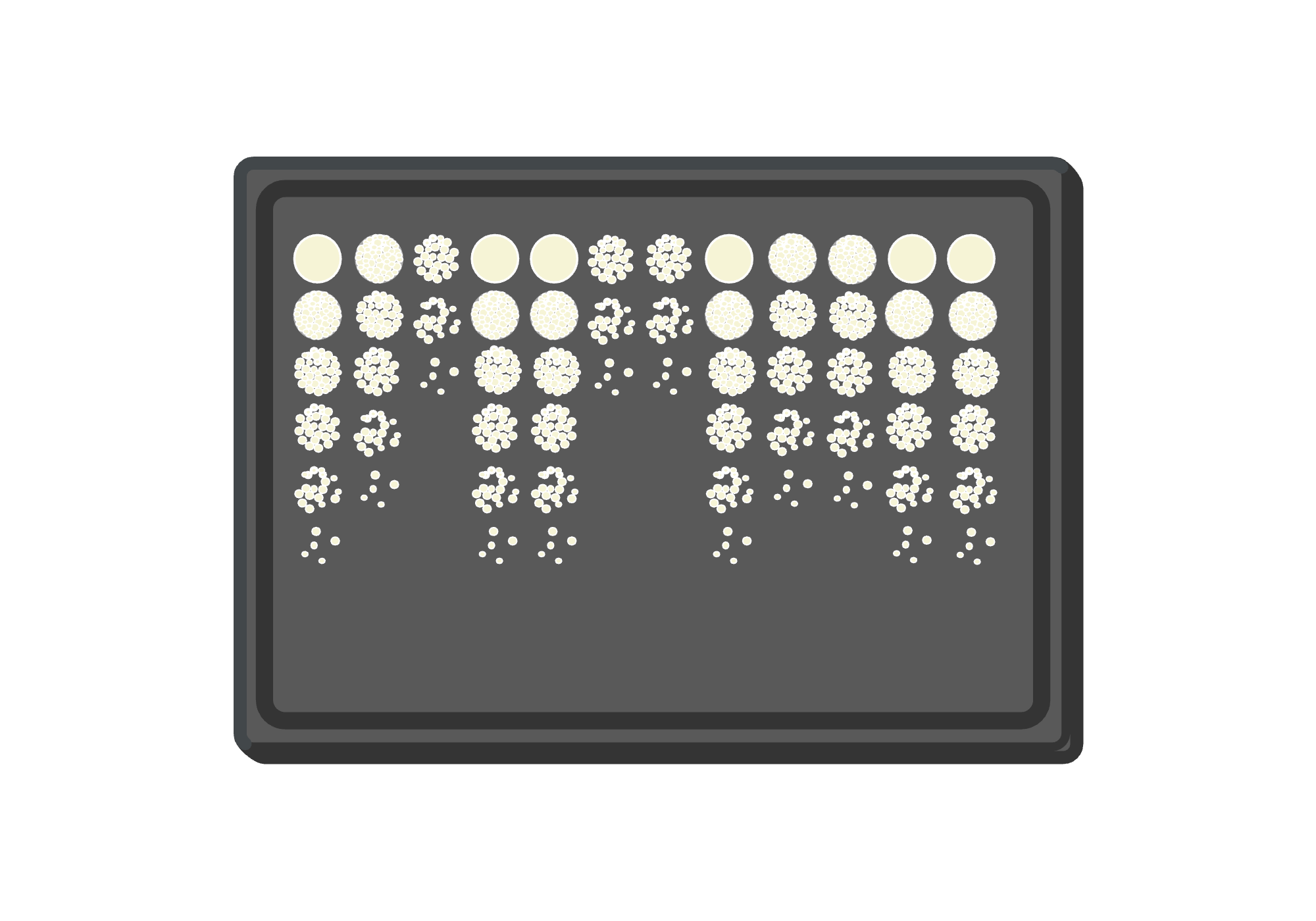Yeast Spot Assay With Serial Dilutions On Agar Plate Biorender