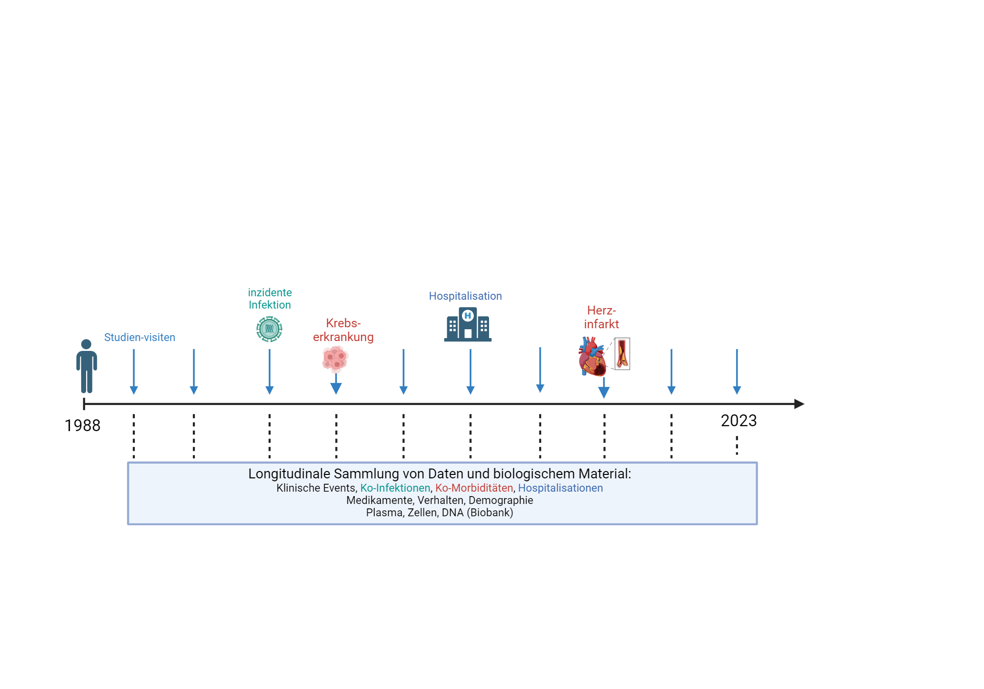 cohort study | BioRender Science Templates