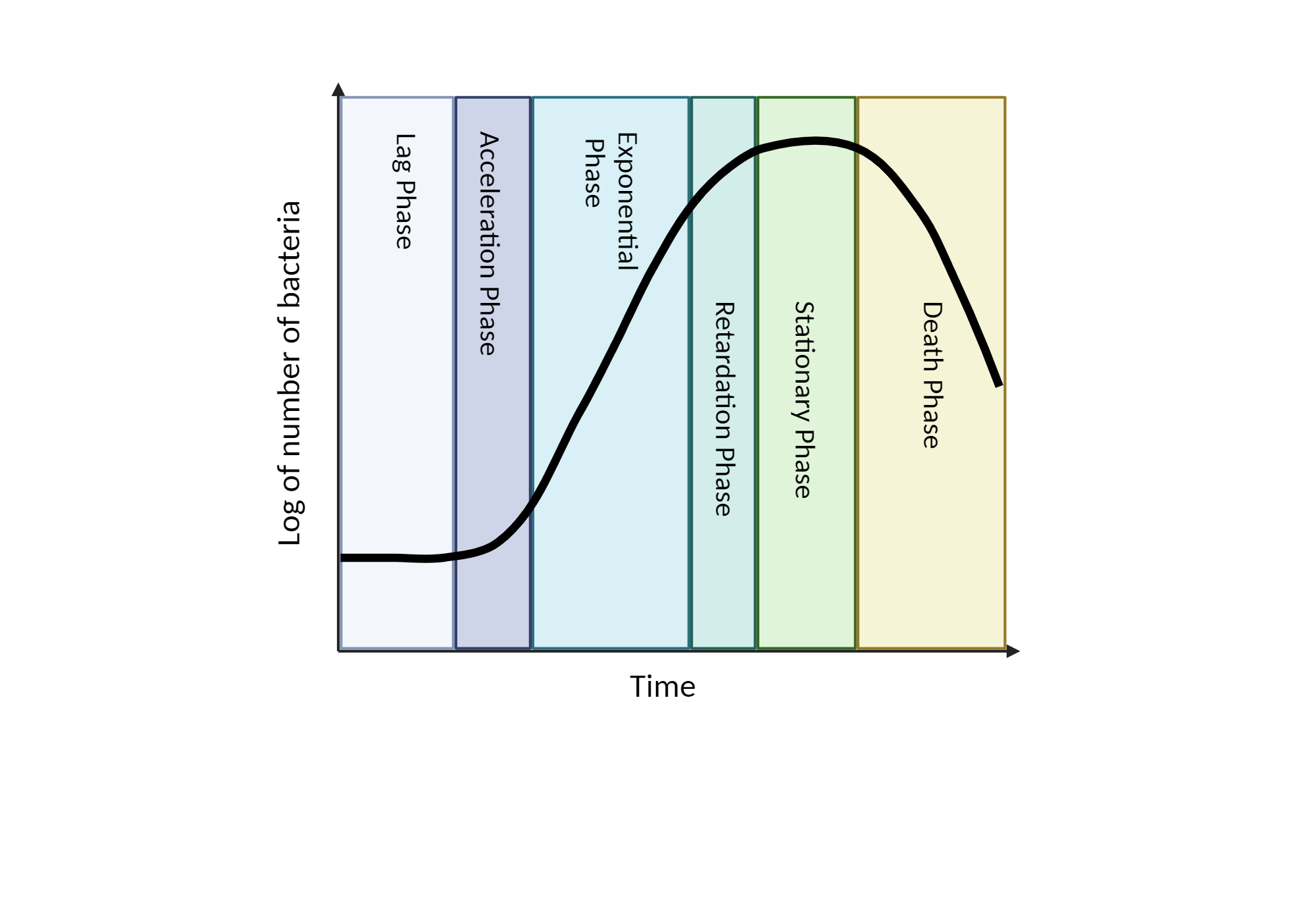 Bacteria Growth Curve | BioRender Science Templates