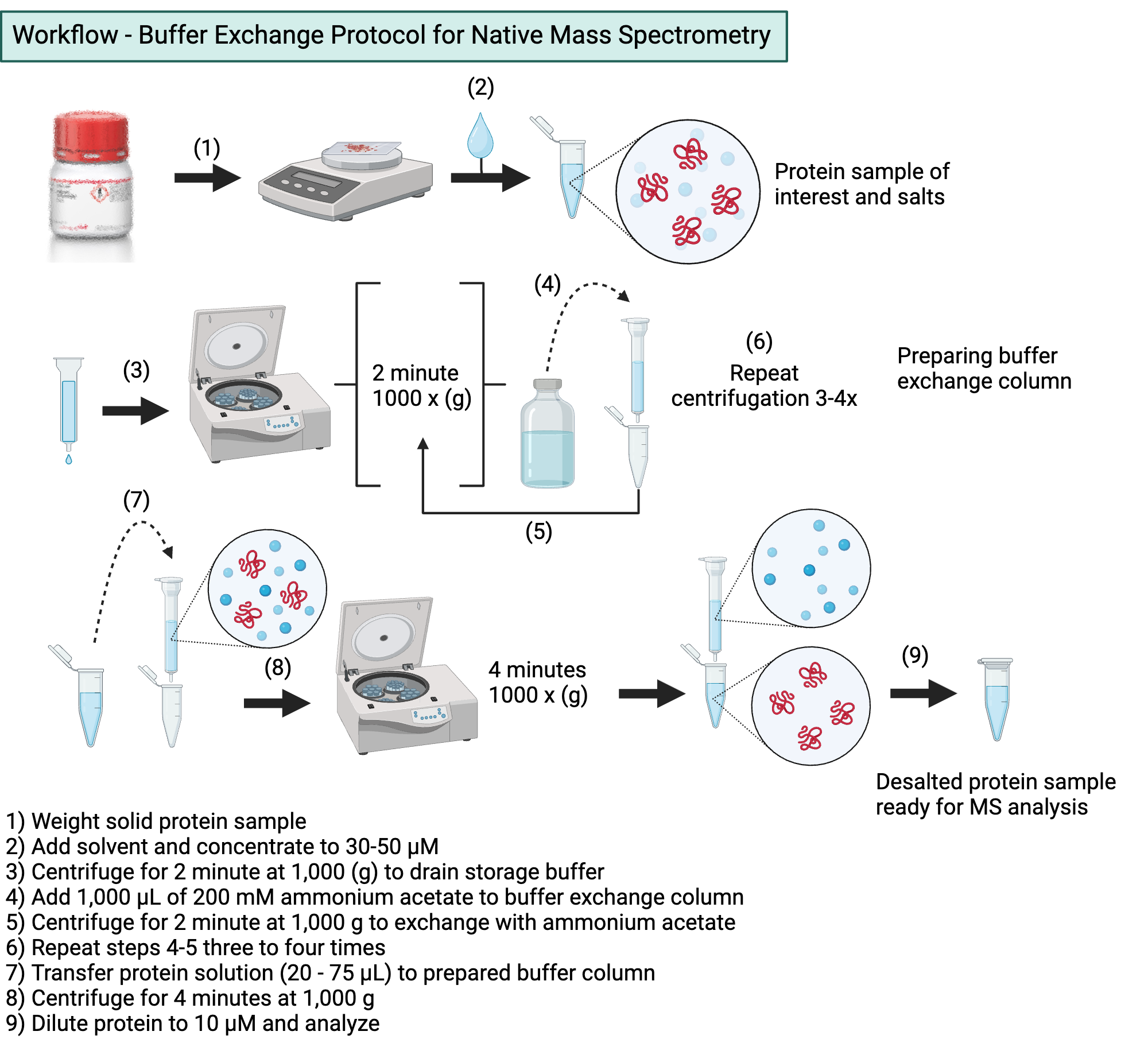 Workflow - Native Mass Spectrometry Sample Prep | BioRender Science ...