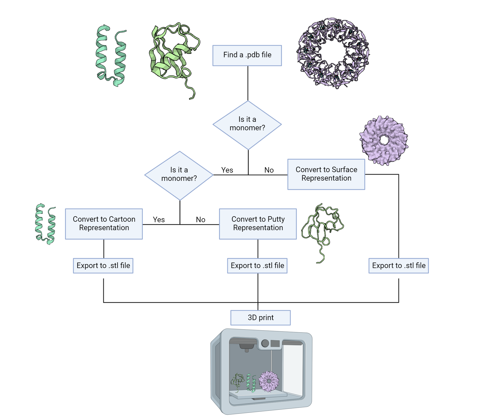 Workflow - 3D Printing PDB Protein Structures | BioRender Science Templates