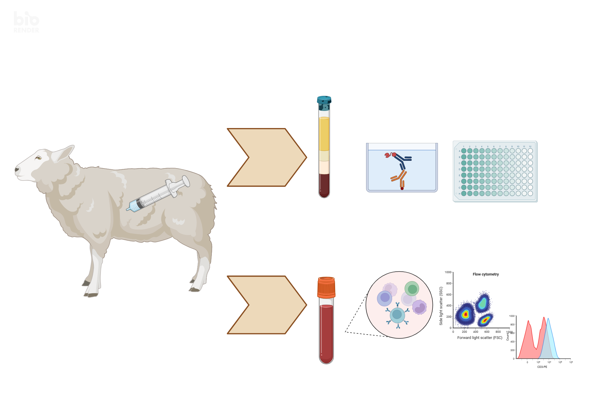 Icon Pack - Animal Vaccine Study | BioRender Science Templates