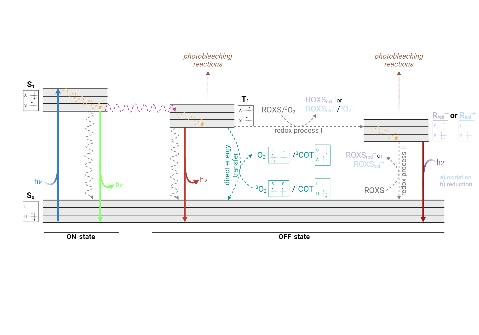 Jablonski diagram (complex) | BioRender Science Templates