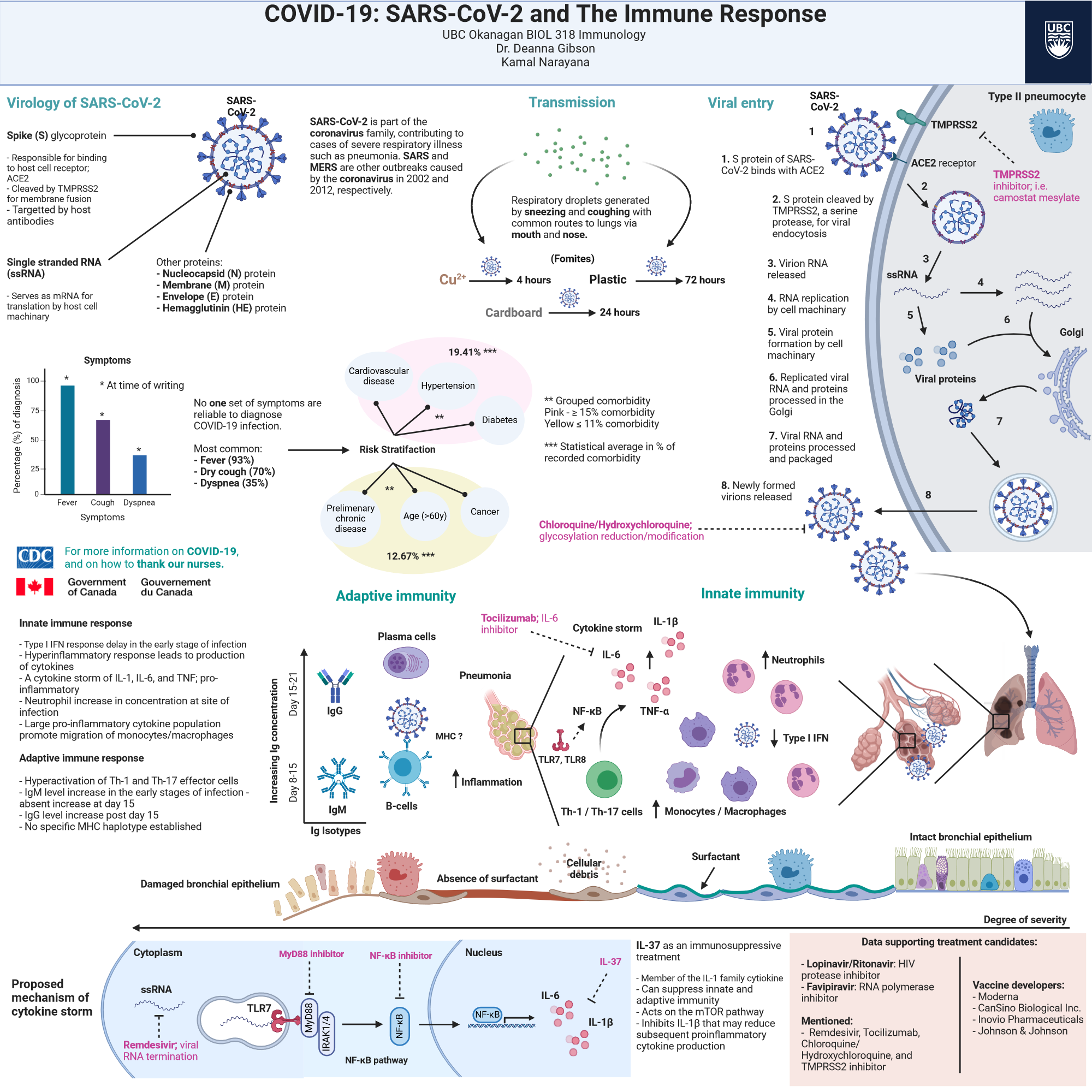 COVID-19 and Immune Response | BioRender Science Templates