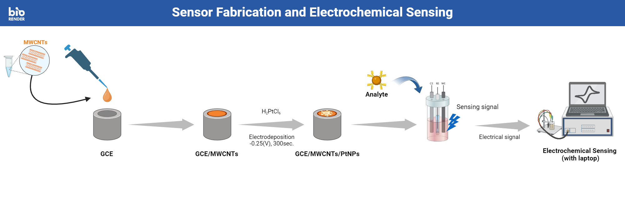 Sensor Fabrication and Electrochemical Sensing | BioRender Science ...