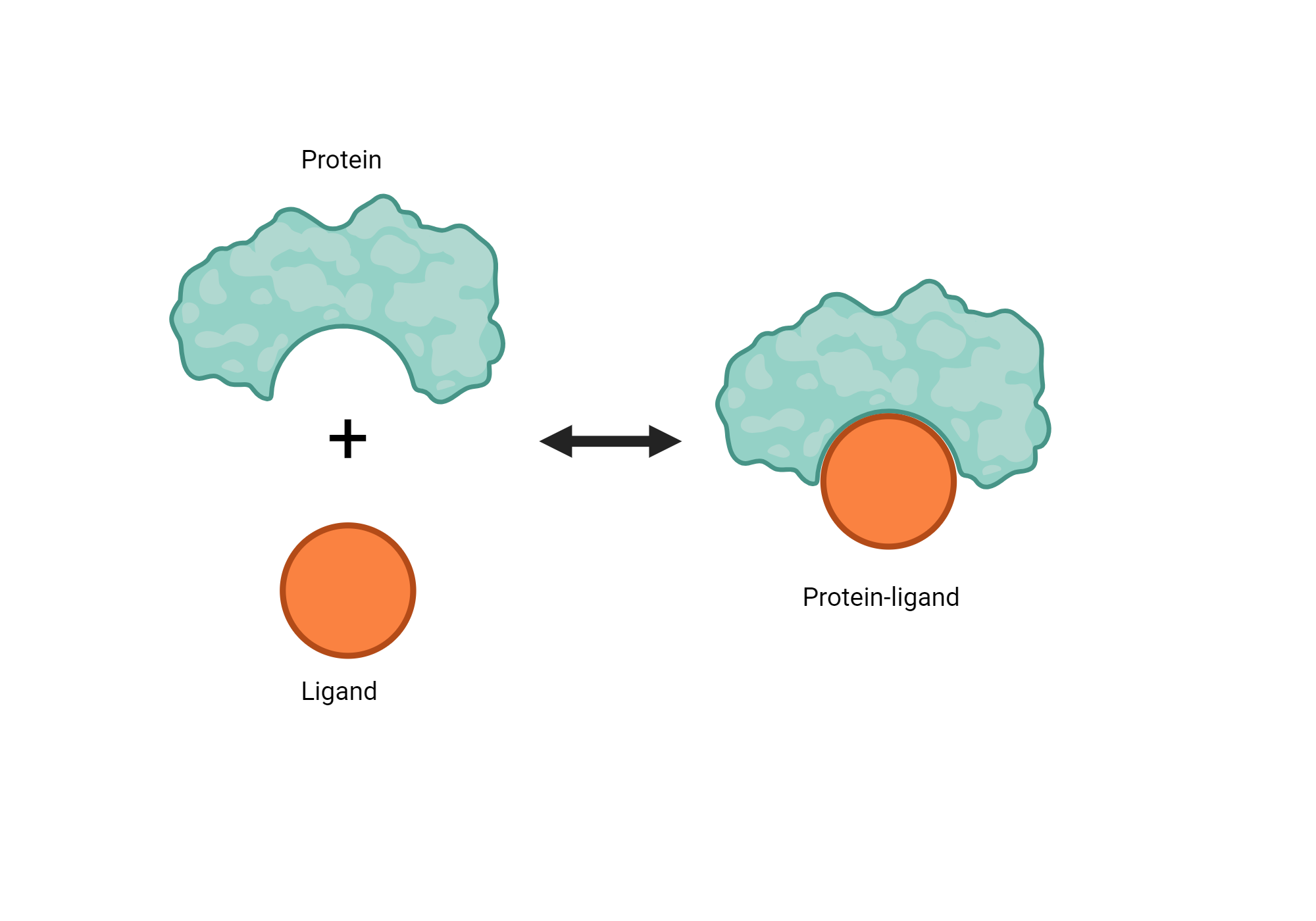 Protein Ligand Binding Biorender Science Templates