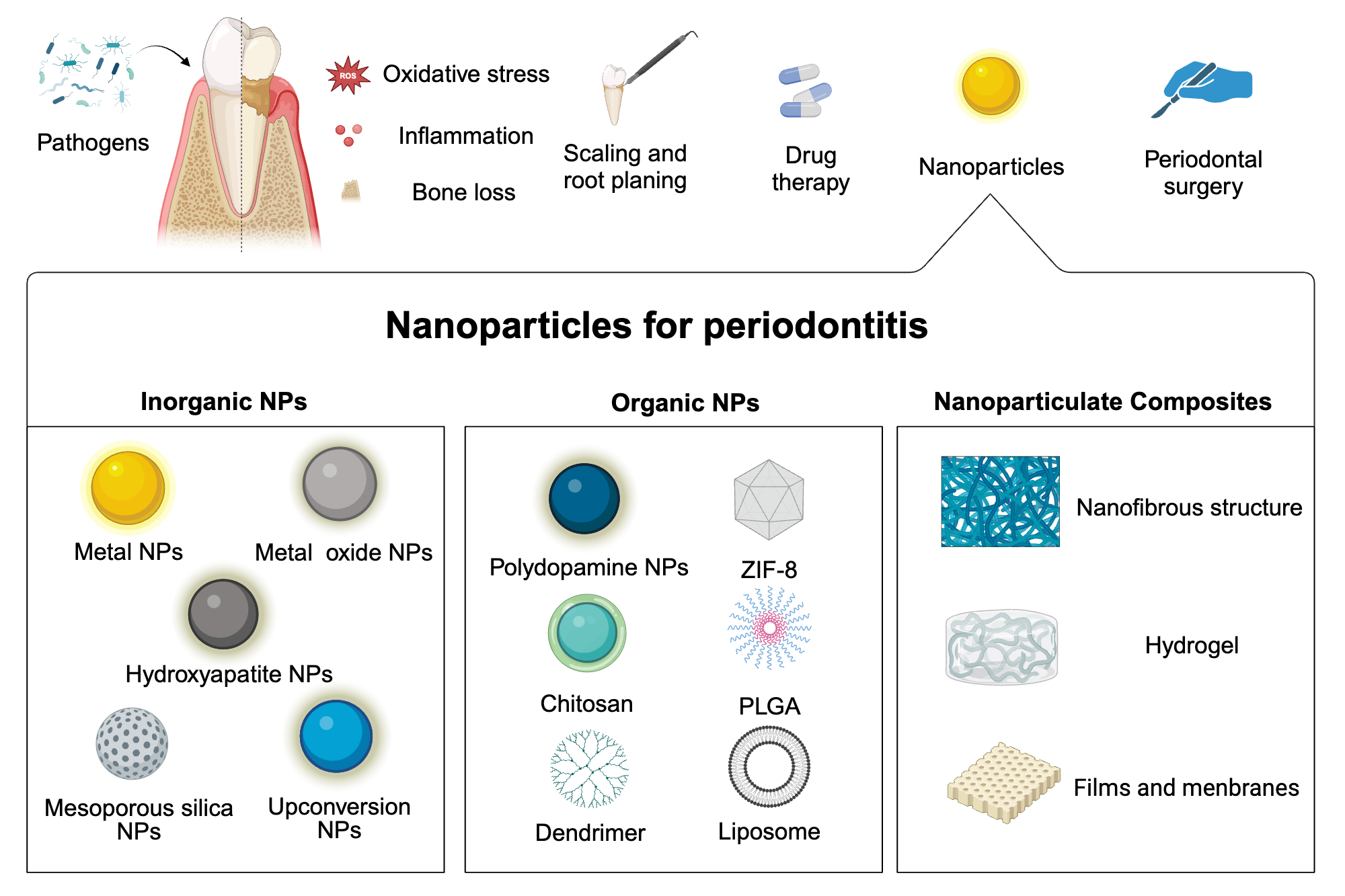 Nanoparticles for periodontitis | BioRender Science Templates