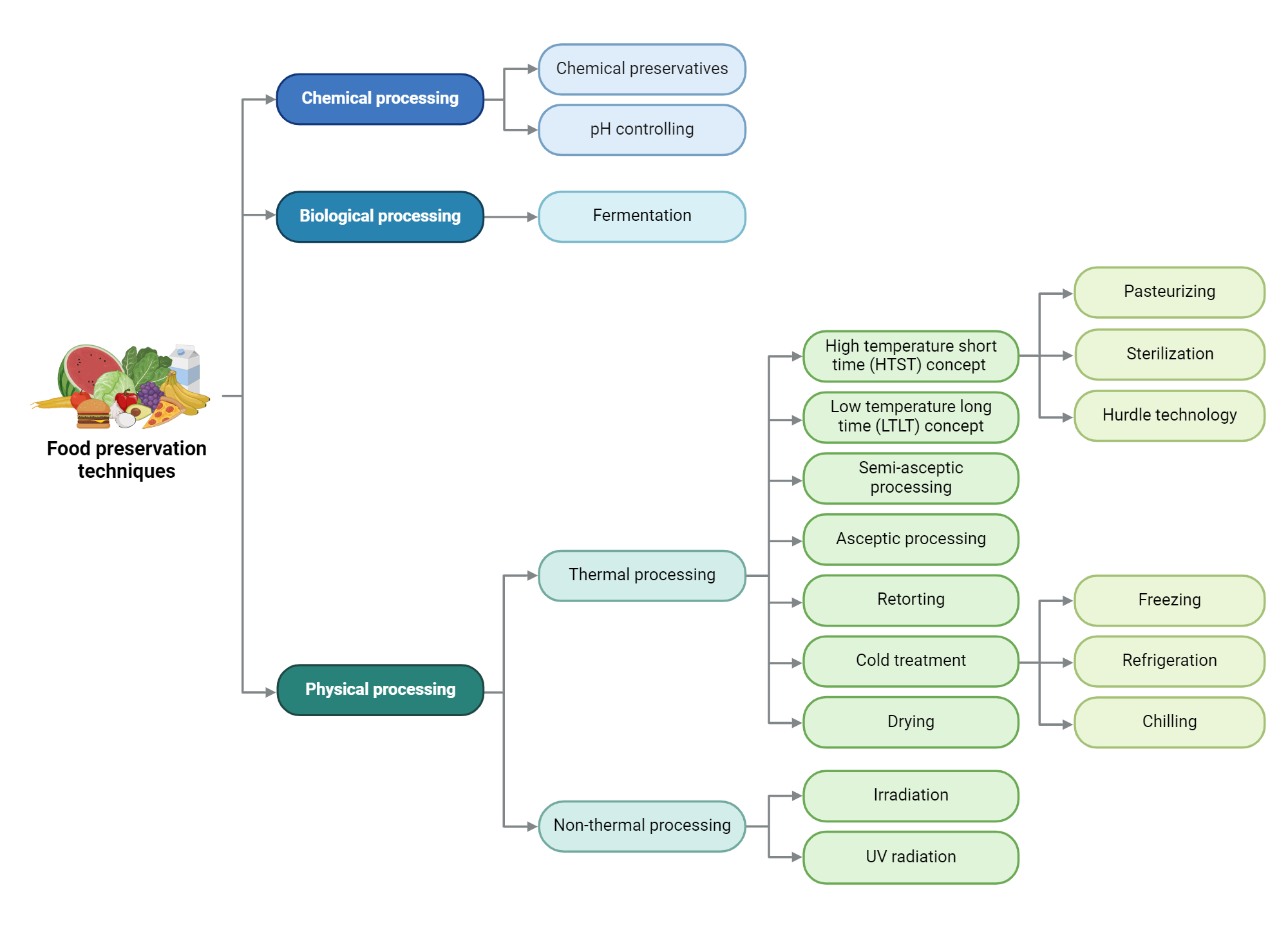 Food Preservation Techniques | BioRender Science Templates