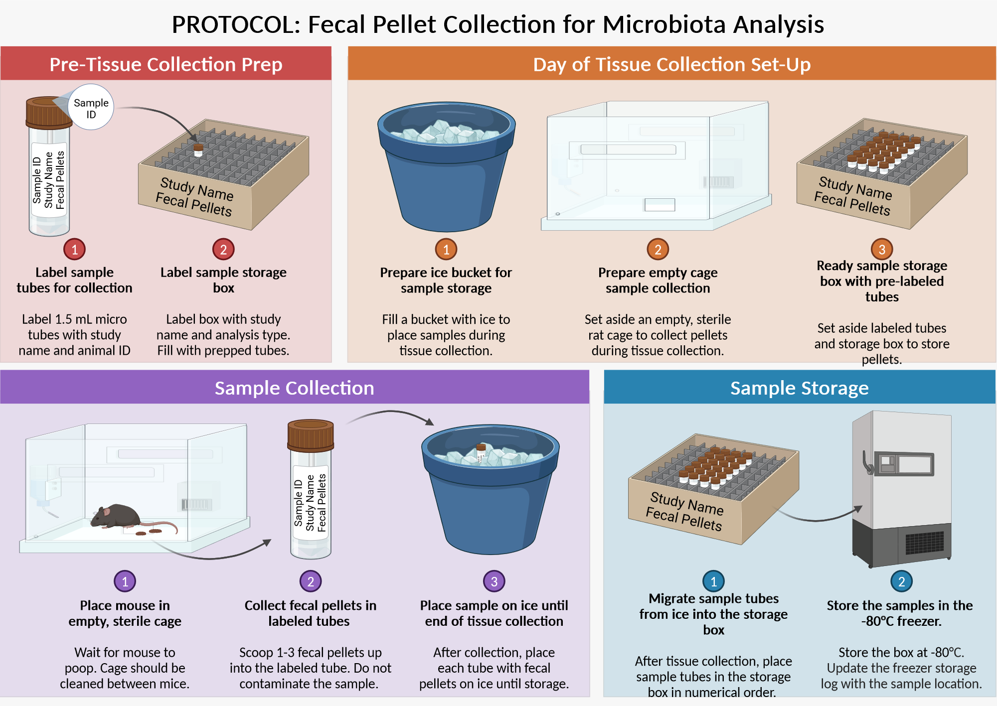 Fecal Pellet Collection for Microbiota Analysis | BioRender Science ...