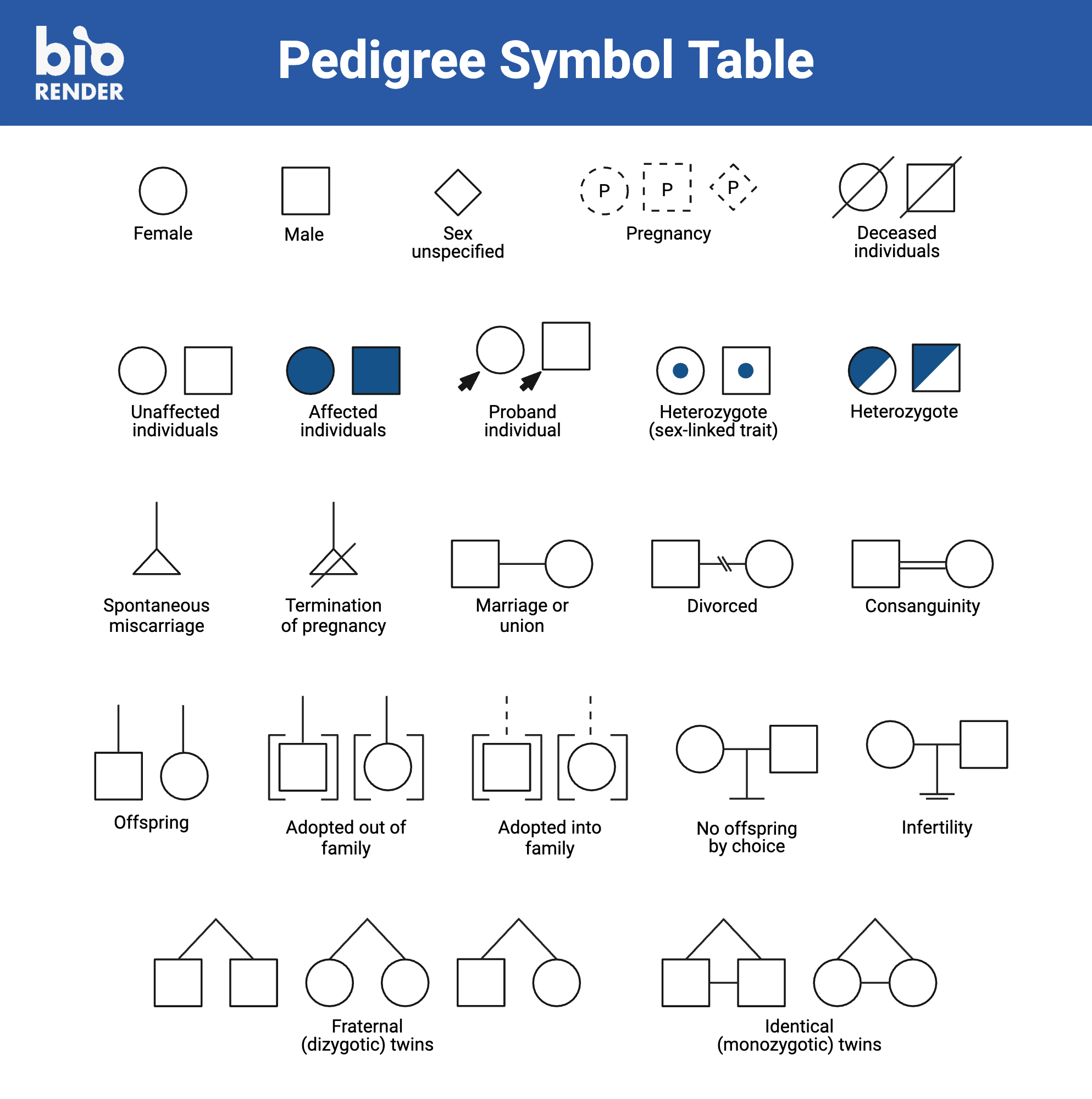 Pedigree Symbol Table | BioRender Science Templates Pedigree Symbol Table | BioRender Science Templates