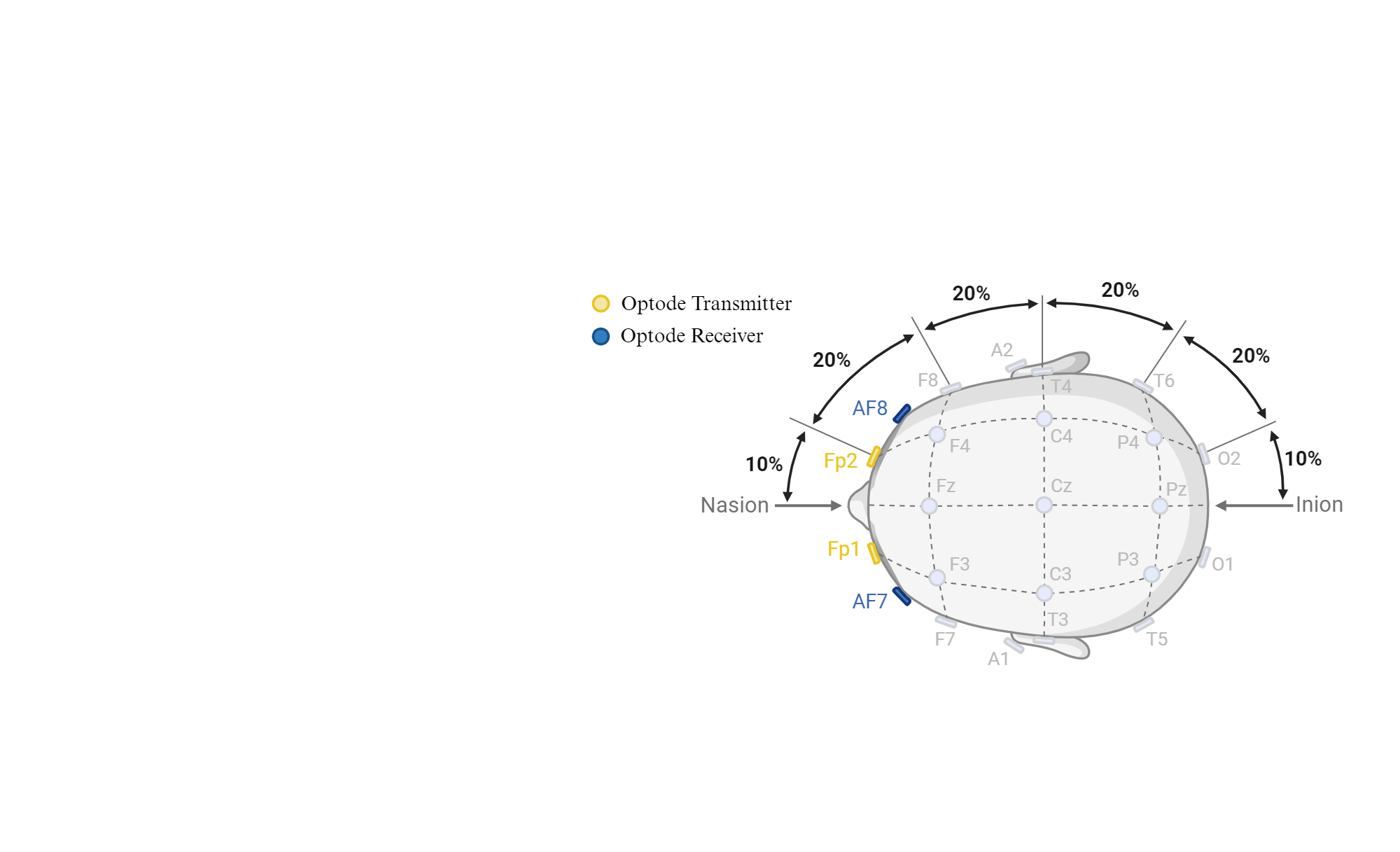 NIRS/EEG Cap Schematic | BioRender Science Templates