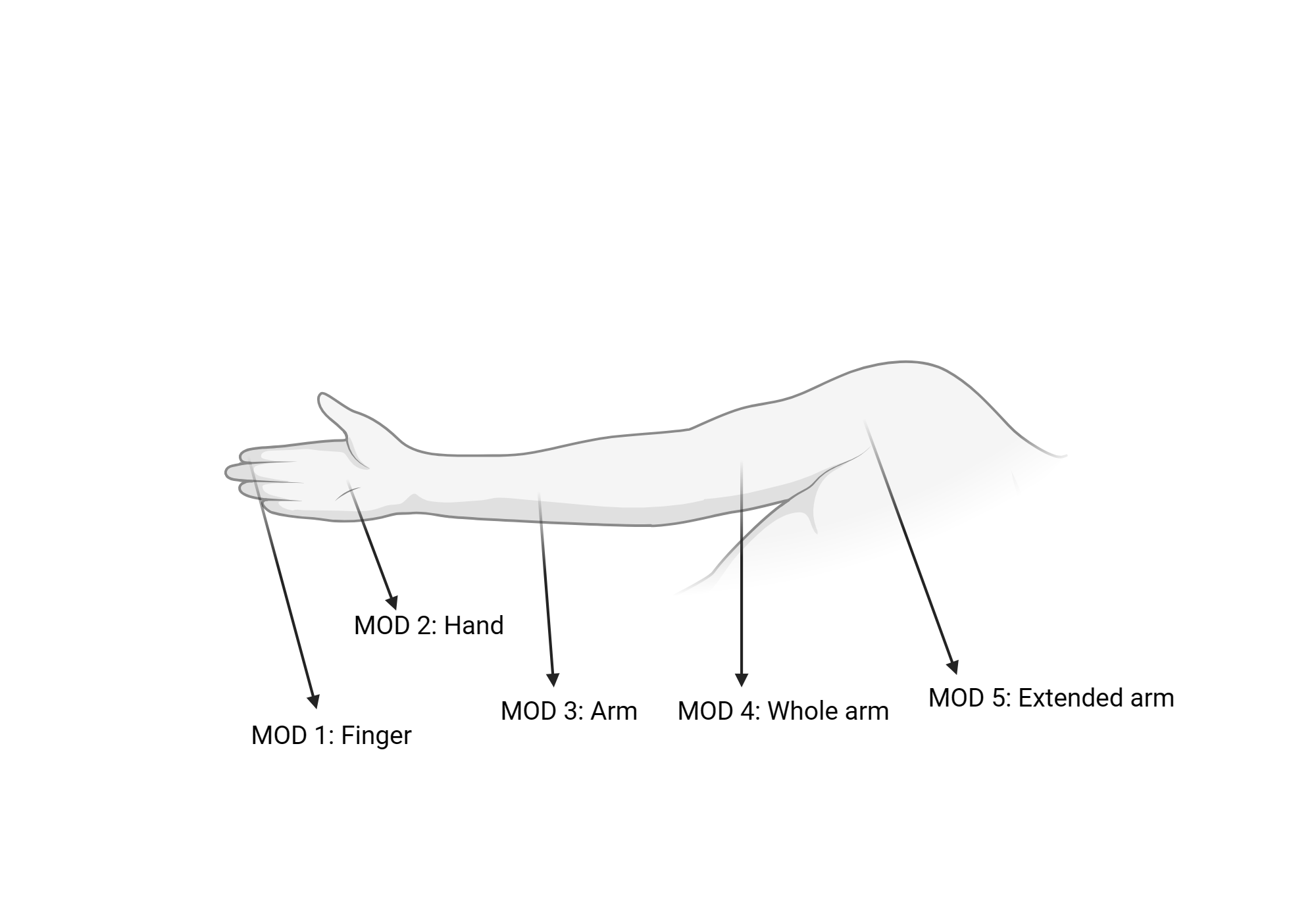 MODAPTS | BioRender Science Templates