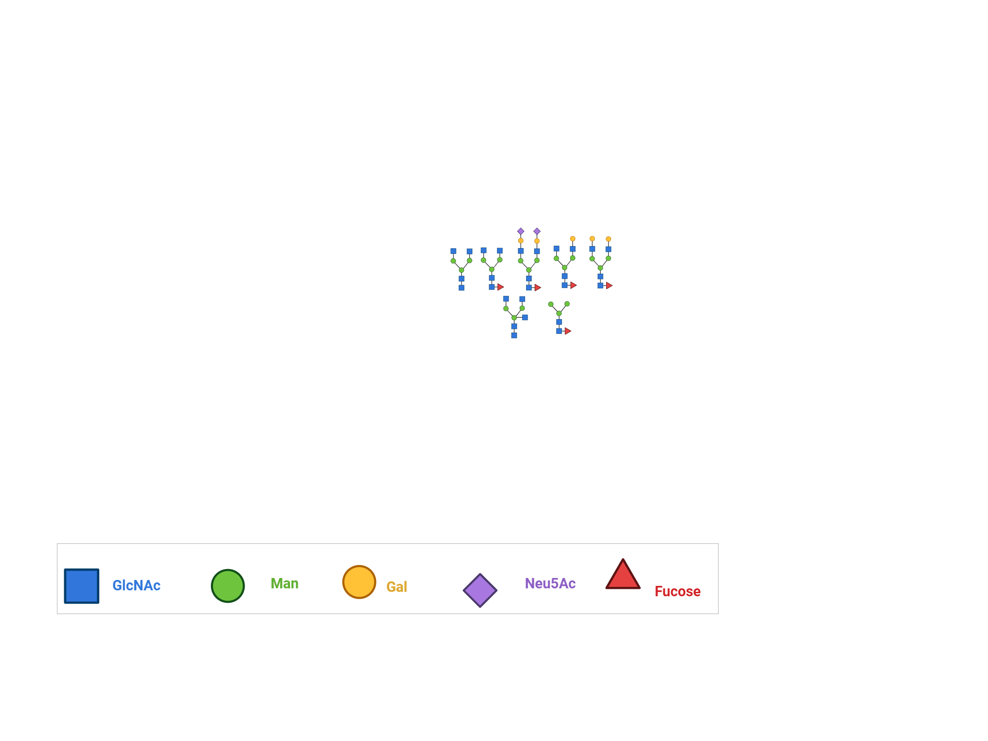 igG glycans | BioRender Science Templates