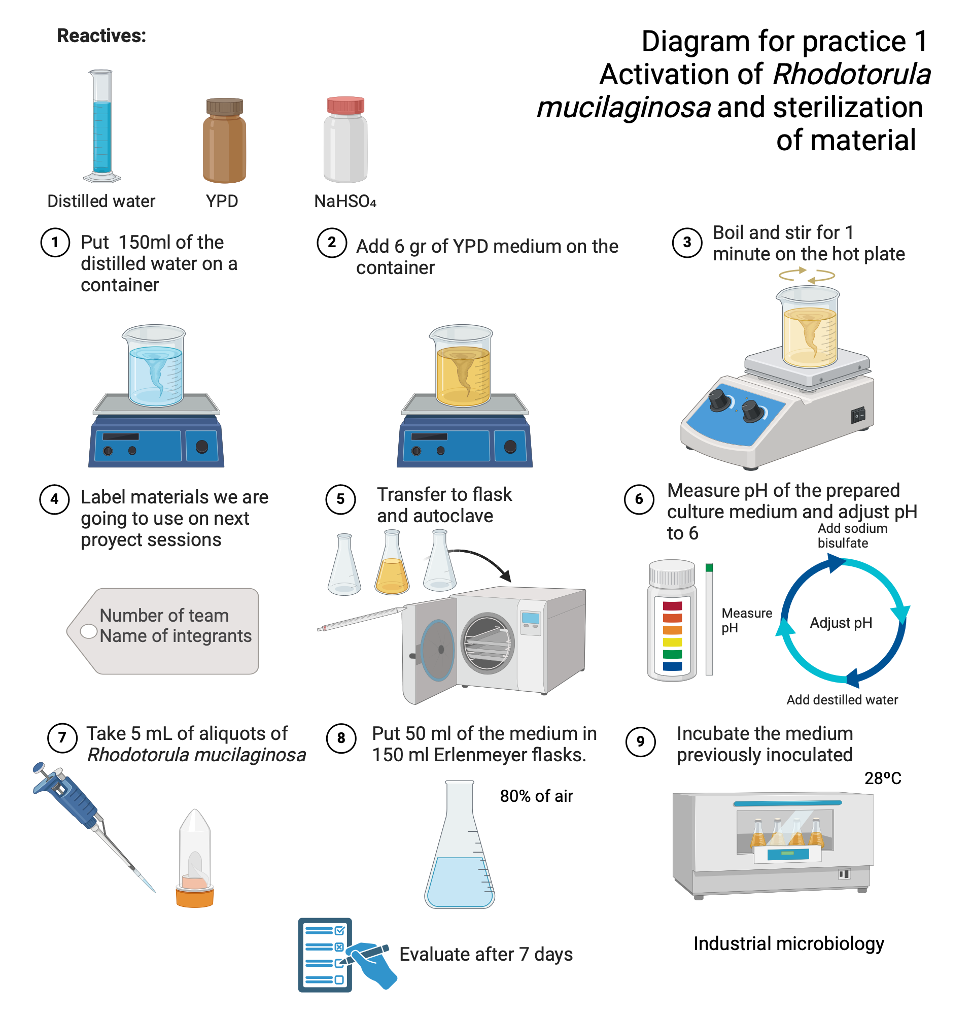 Activation of microorganisms | BioRender Science Templates