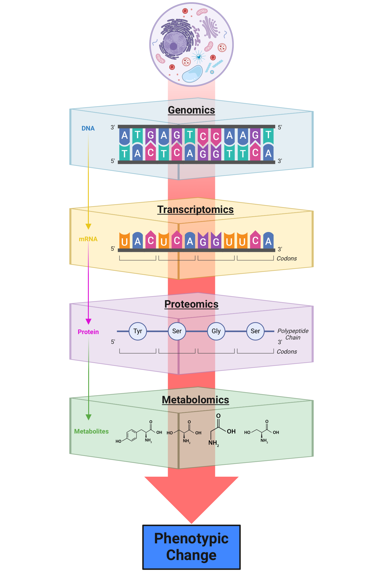 Omics Cascade | BioRender Science Templates
