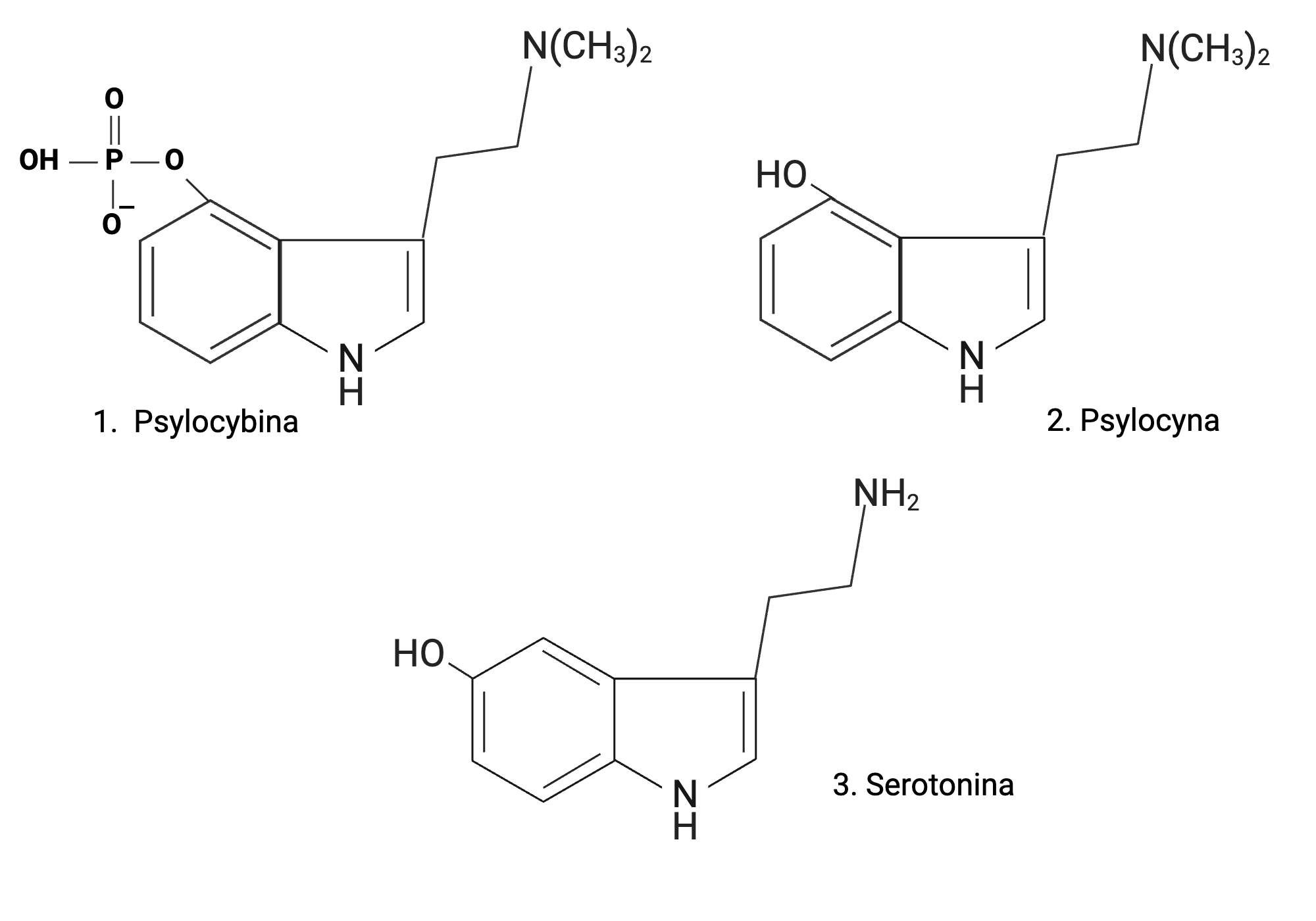 Psilocybin, Psilocin and Serotonin | BioRender Science Templates