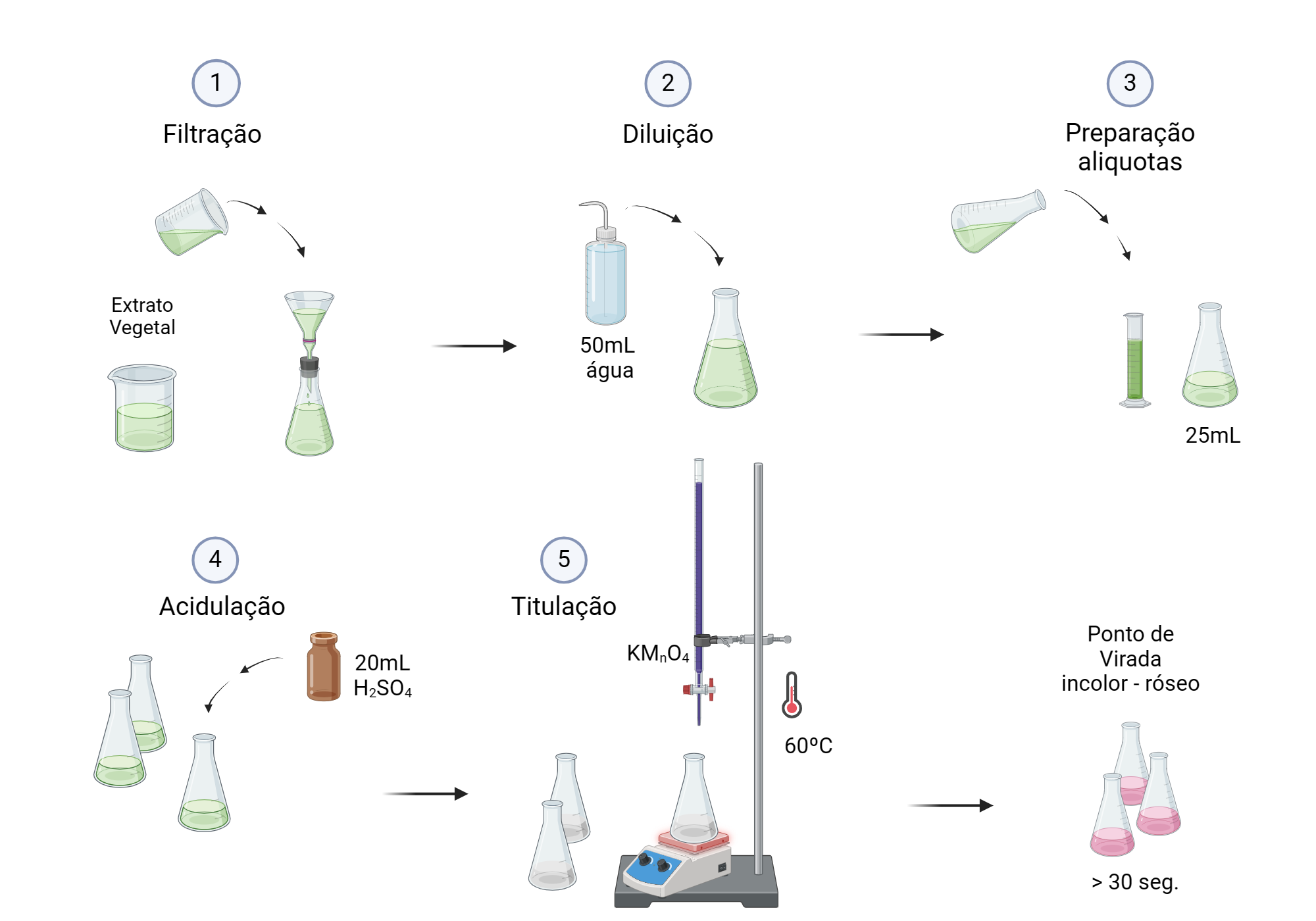 Quantificação de Ácido Oxálico | BioRender Science Templates