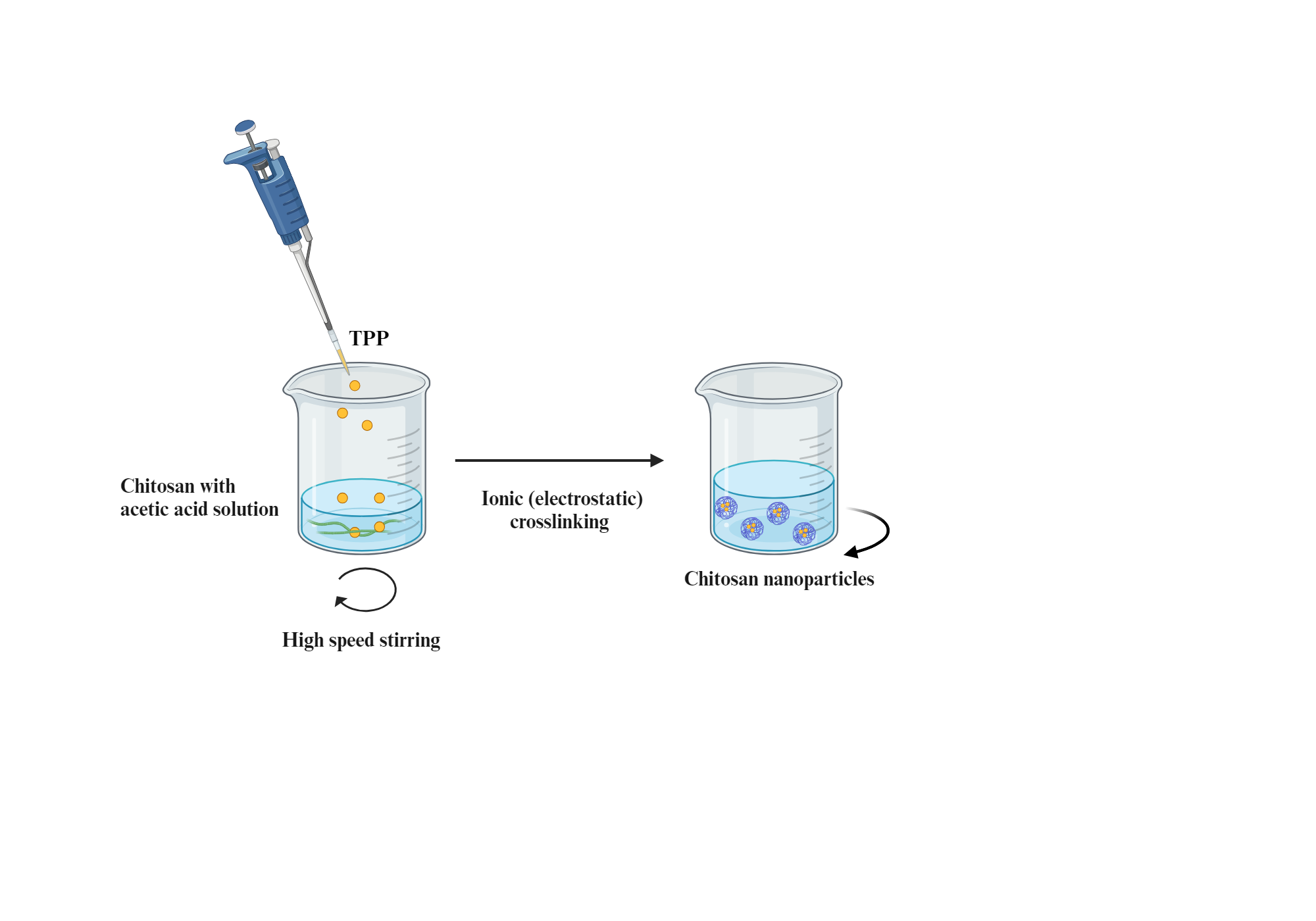 Ionic Gelation | BioRender Science Templates