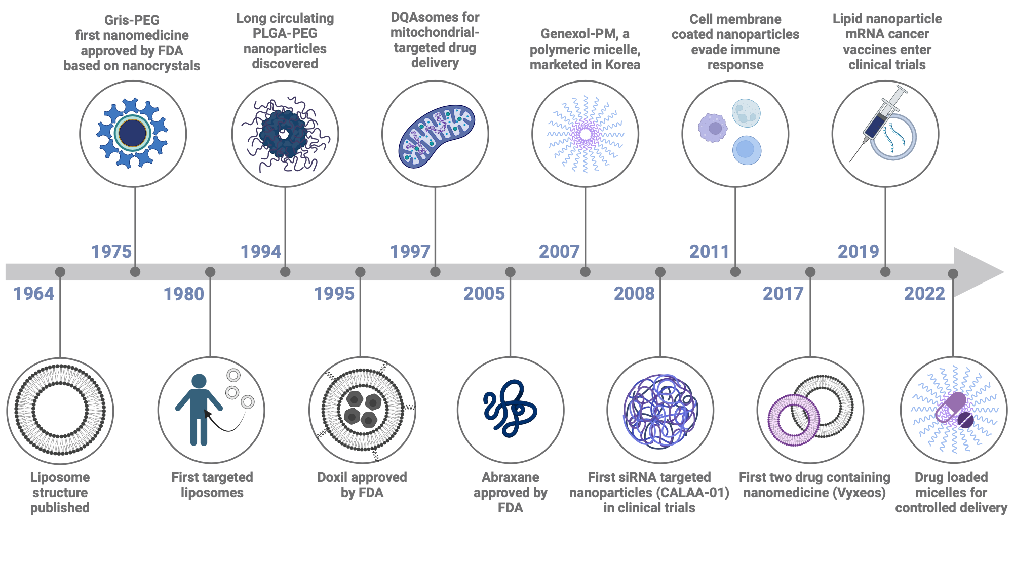 Innovations in Nanomedicine and Drug Delivery | BioRender Science Templates