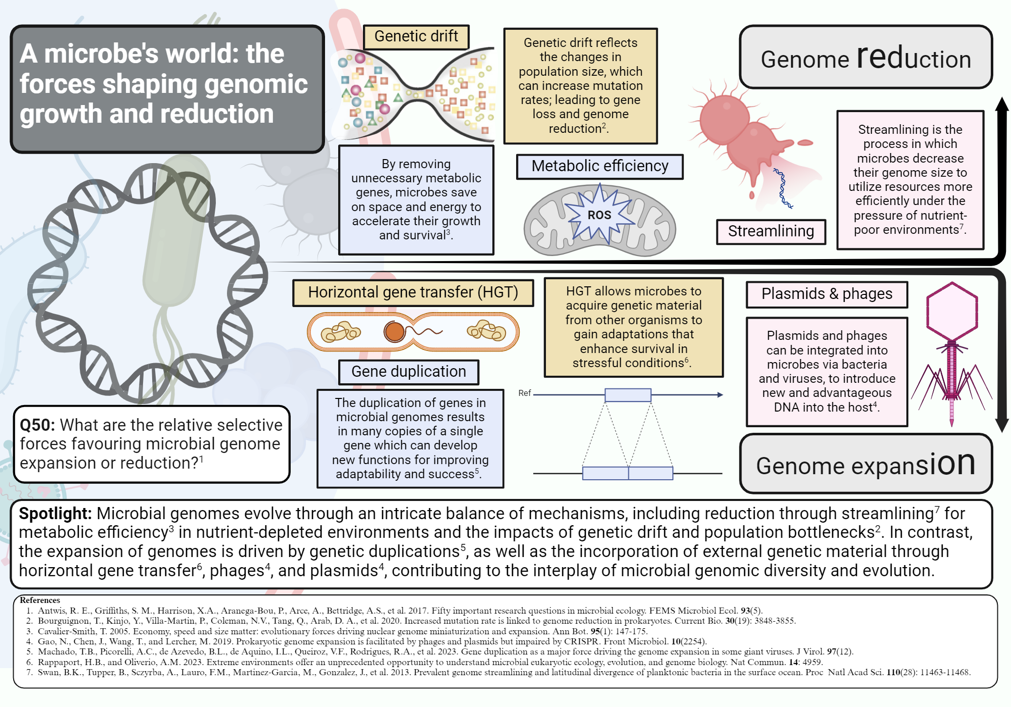 Factors Contributing to Microbial Genome Reduction and Expansion ...