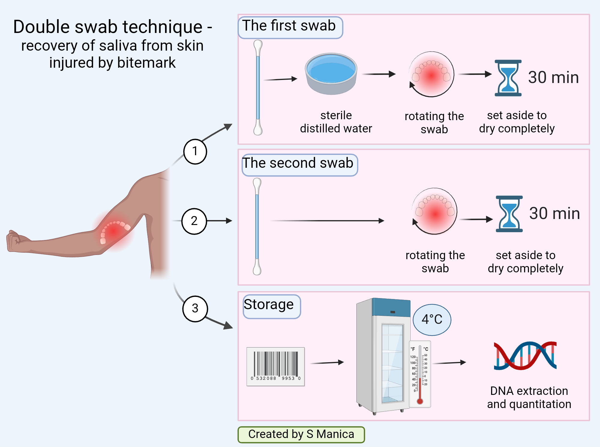 Double Swab technique | BioRender Science Templates