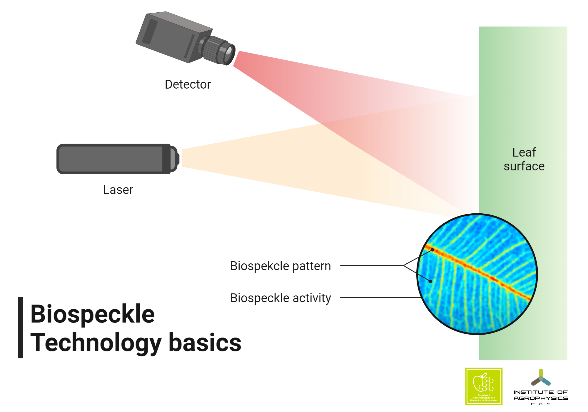 Biospeckle - technology basics | BioRender Science Templates