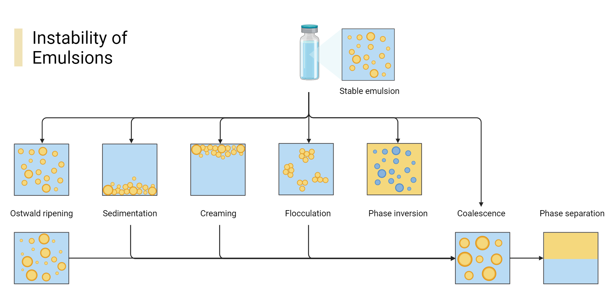 Instability of Emulsions | BioRender Science Templates