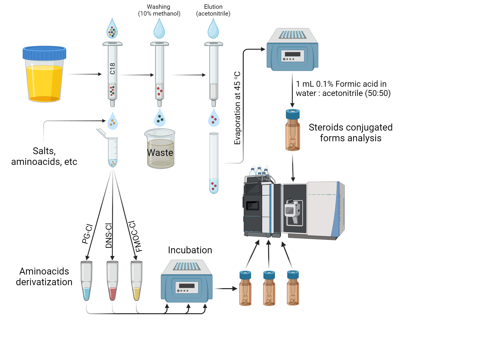 Multi-purpose urine analysis | BioRender Science Templates