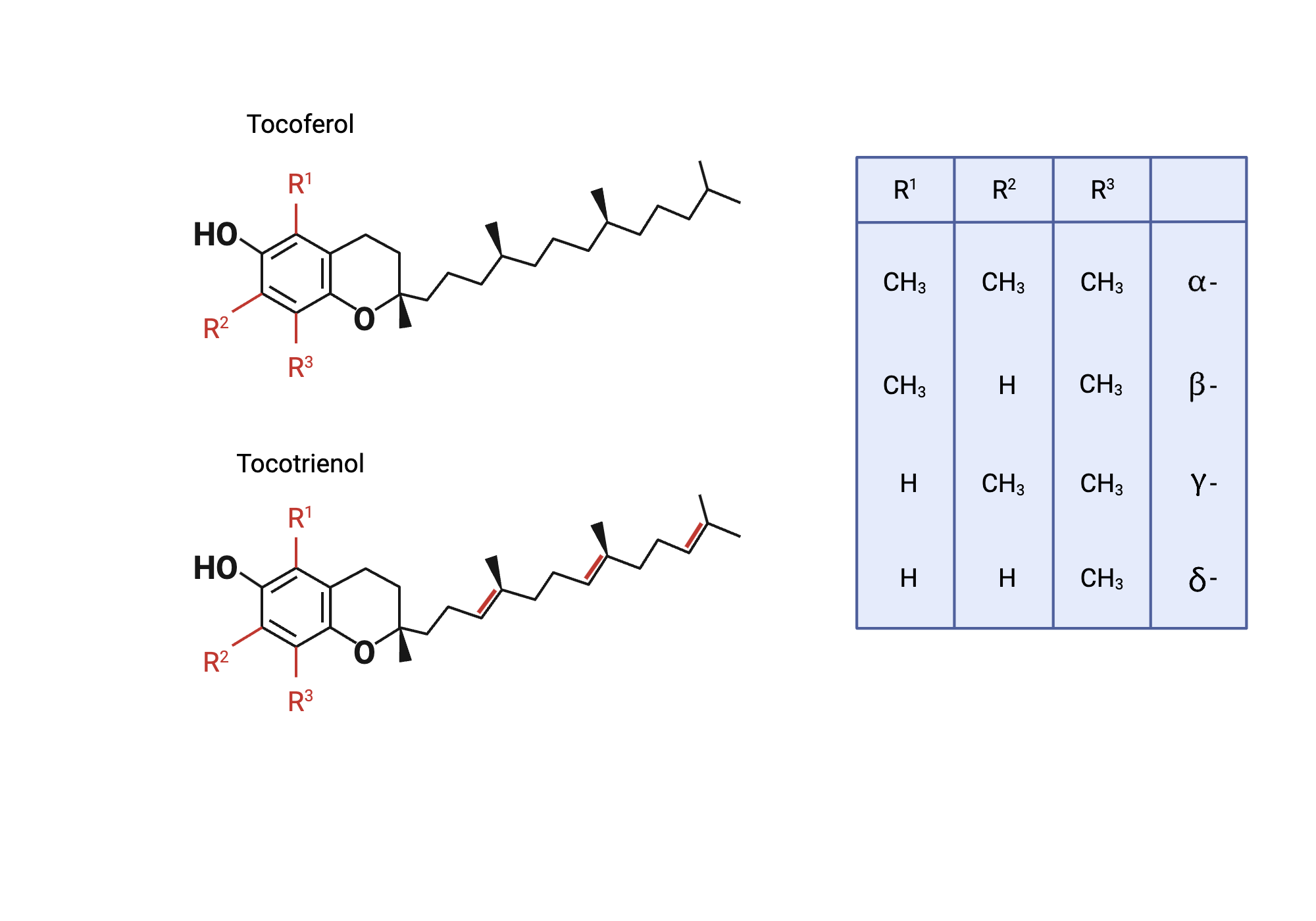 Structure of vitamin E | BioRender Science Templates