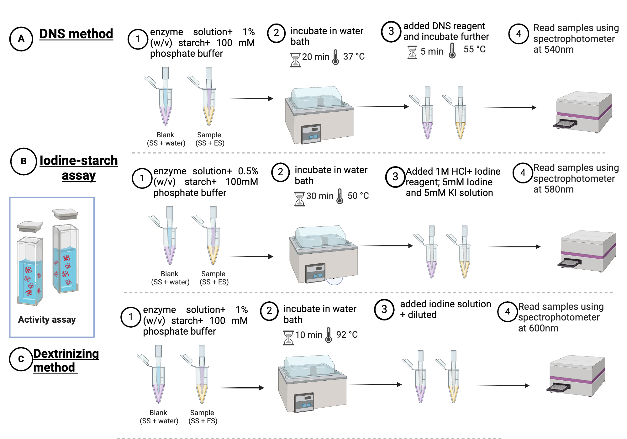Common Methods for Enzyme Activity Assessment | BioRender Science Templates