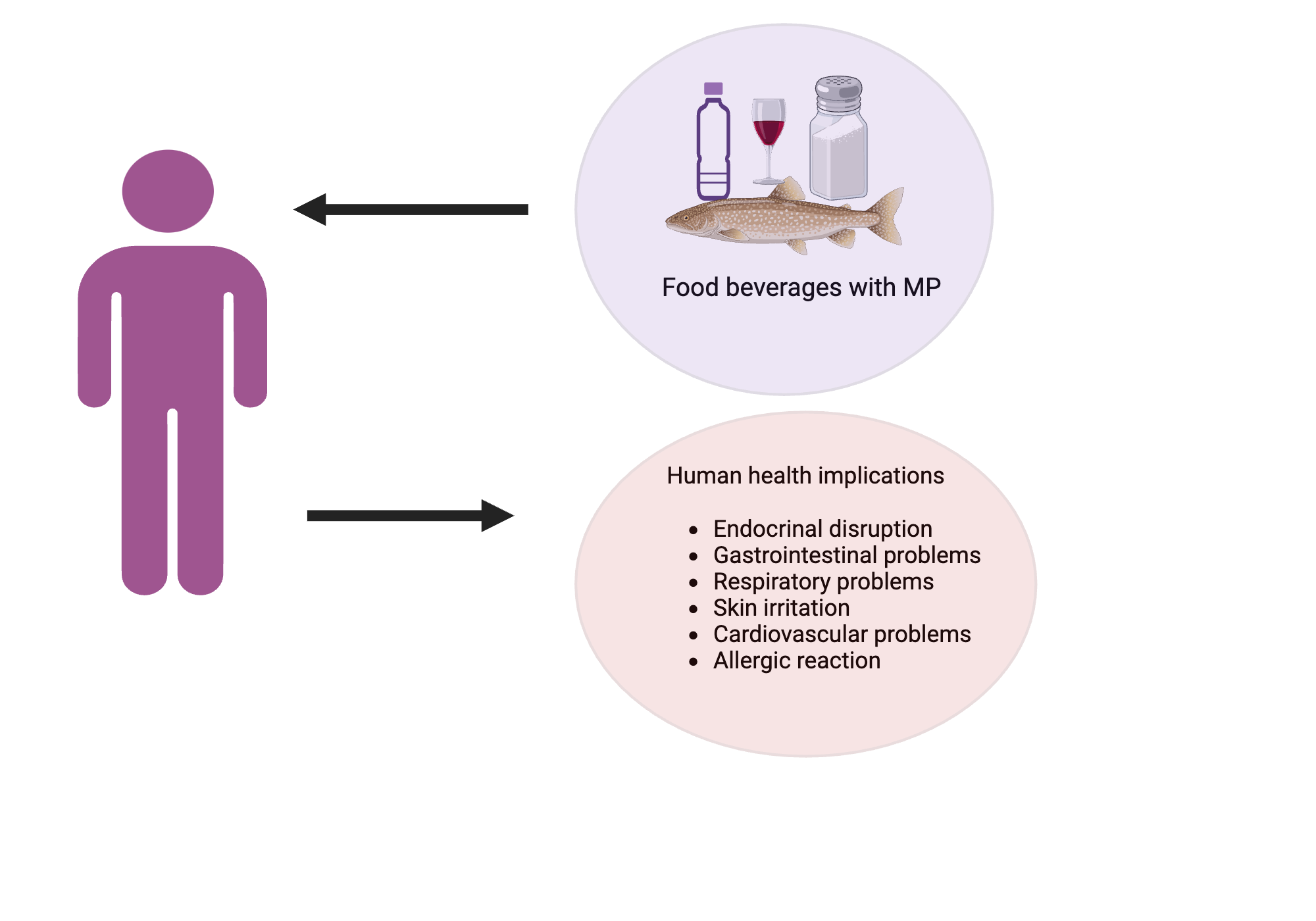 Adverse effects of microplastic | BioRender Science Templates