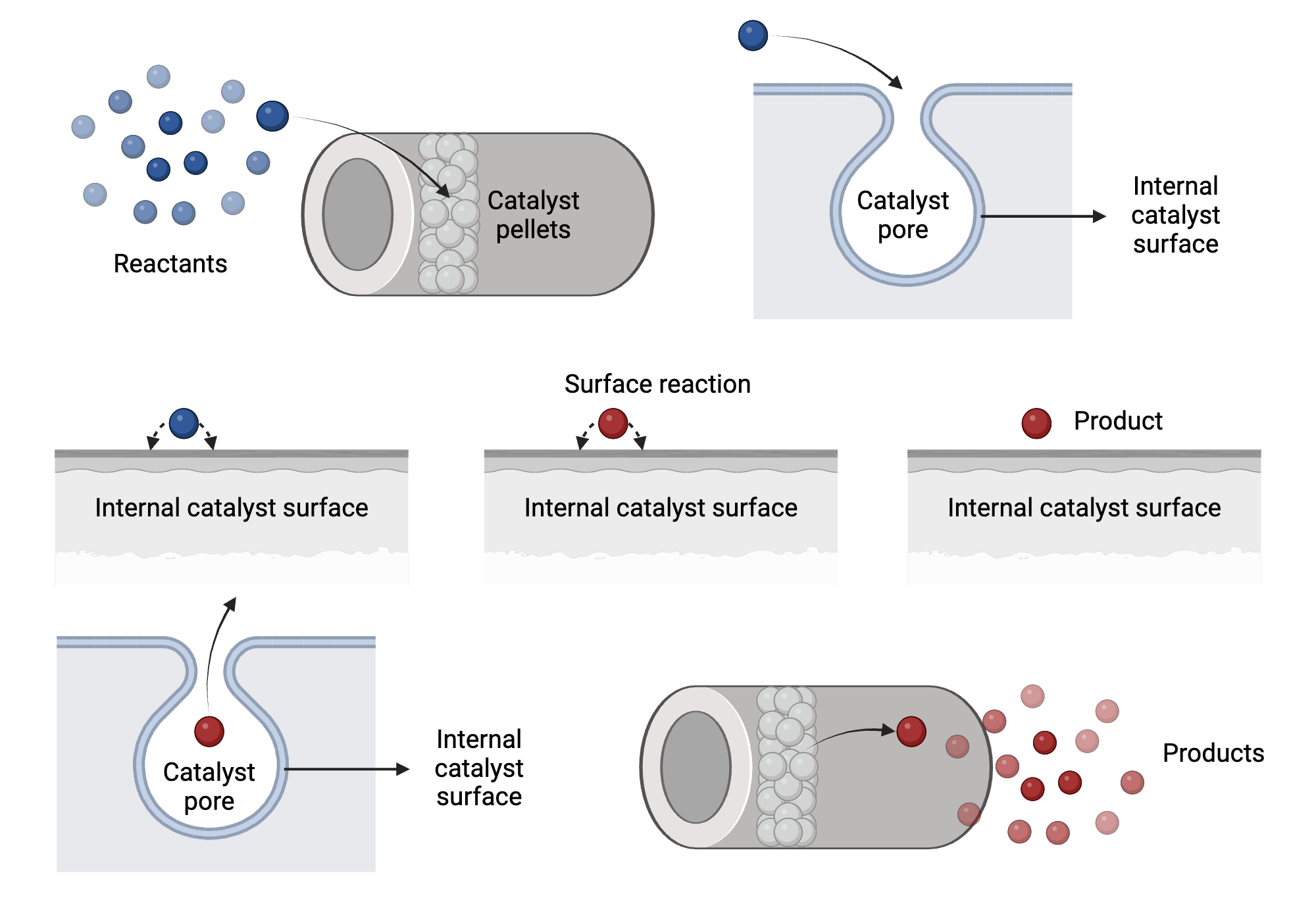 Steps of catalytic reaction | BioRender Science Templates